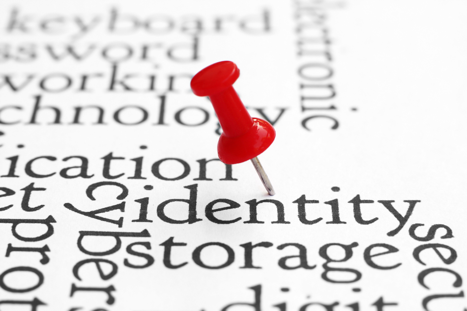 Reclaiming Your Identity: Step 2 of the NLP-Powered Transformation ...