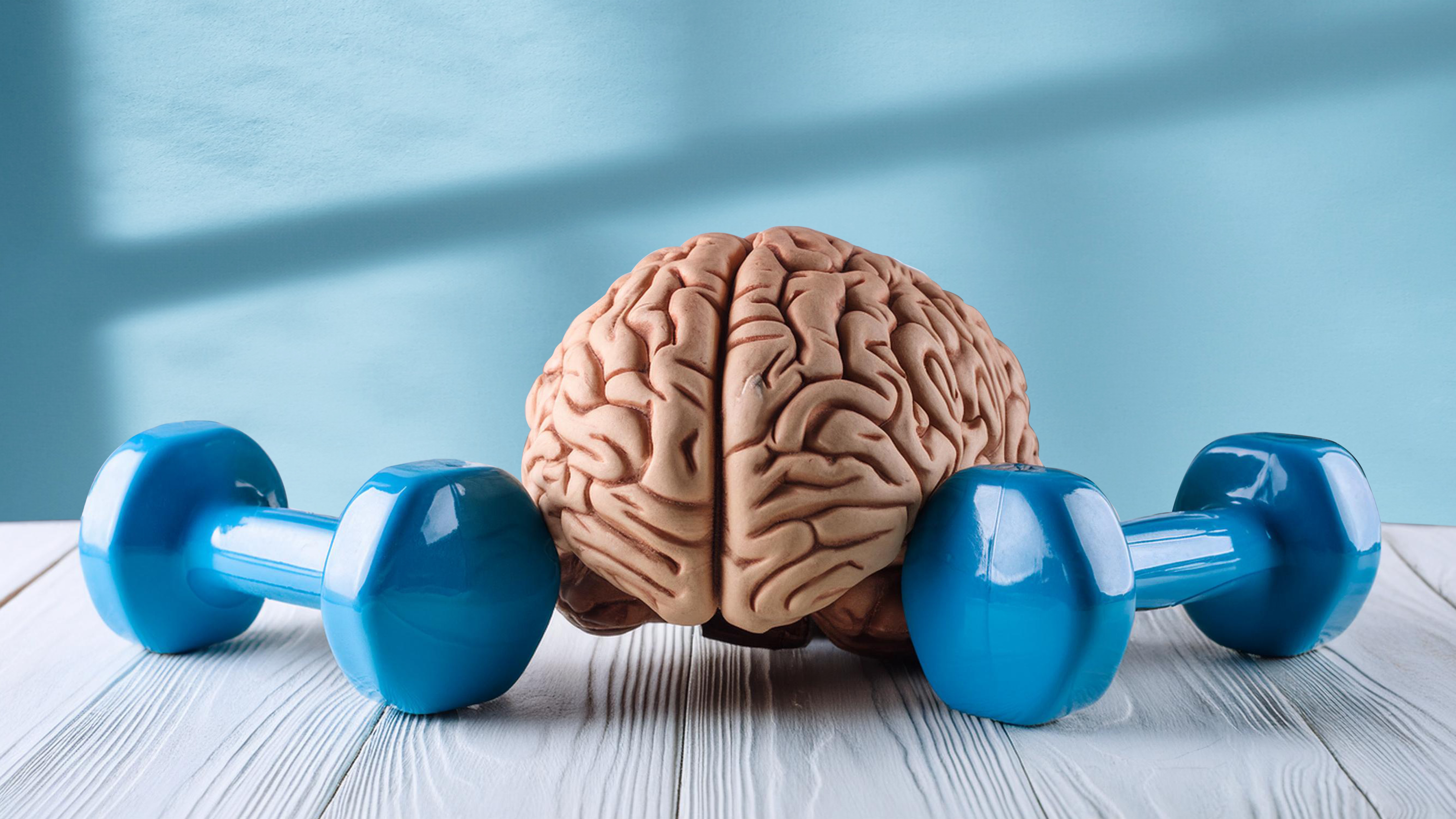 Are You Taking Care of Your Brain Like You Do Your Body? - Best ...